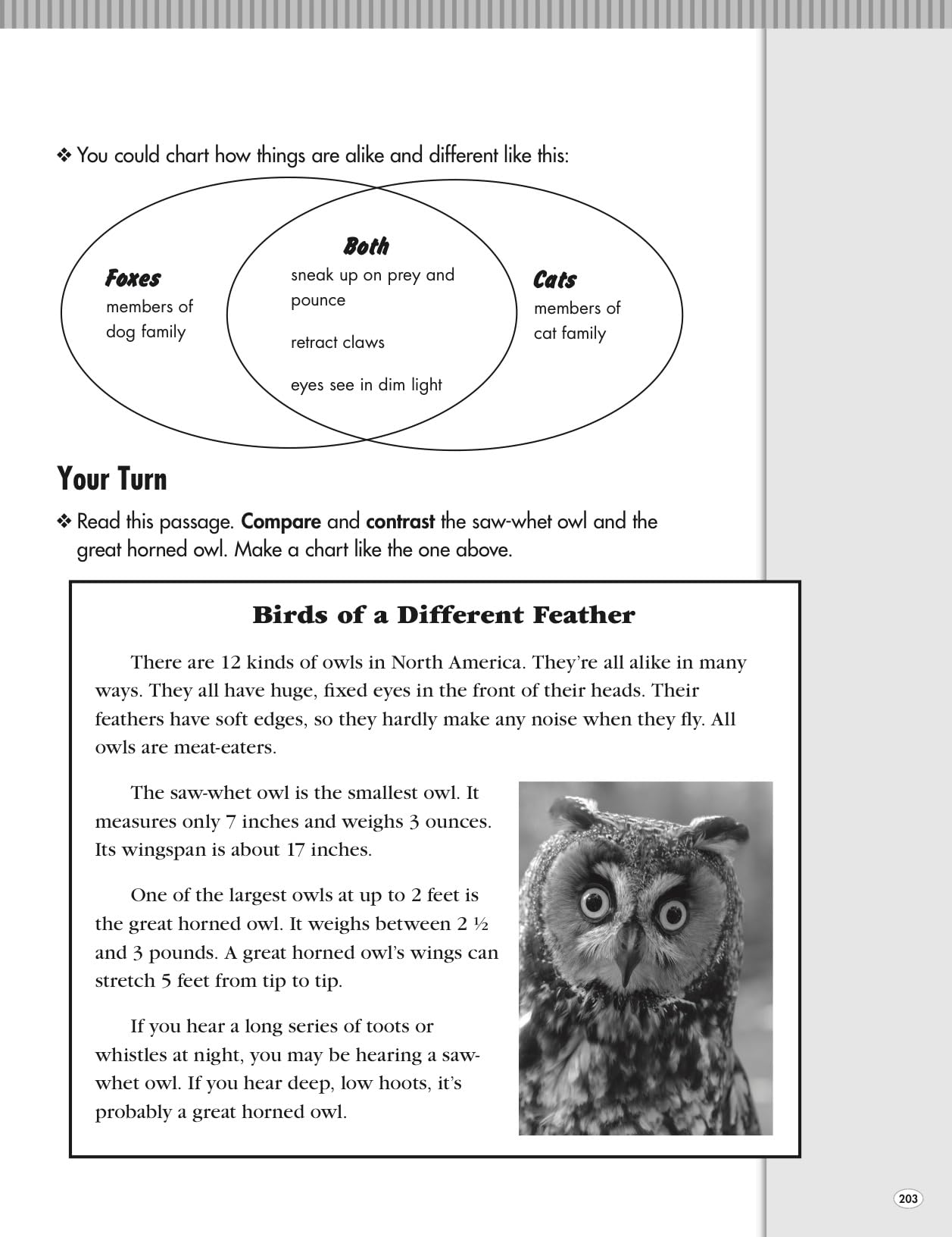 Hi-Lo Nonfiction Passages for Struggling Readers: Grades 4–5: 80 High-Interest/Low-Readability Passages With Comprehension Questions and Mini-Lessons for Teaching Key Reading Strategies