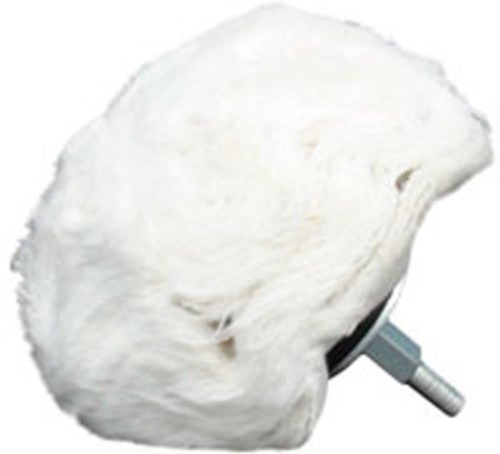 Bio-Kleen A39300 Polishing Ball