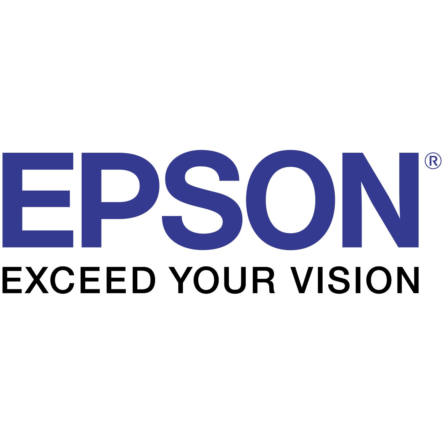 Epson T032120 Black