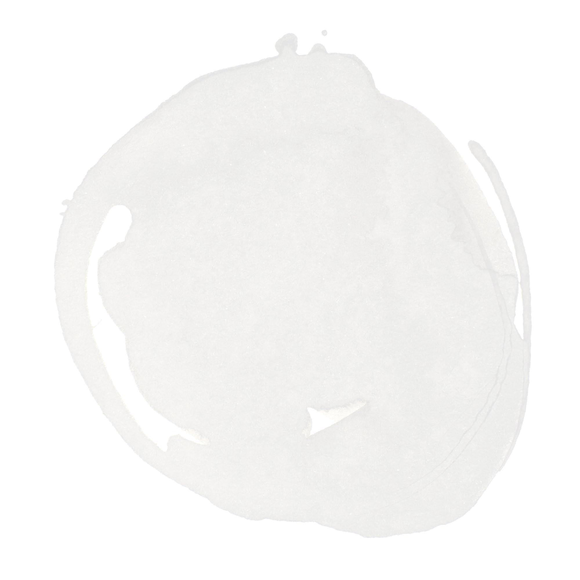 Liquitex Professional Acrylic Ink, 1-oz (30ml) Jar, Titanium White