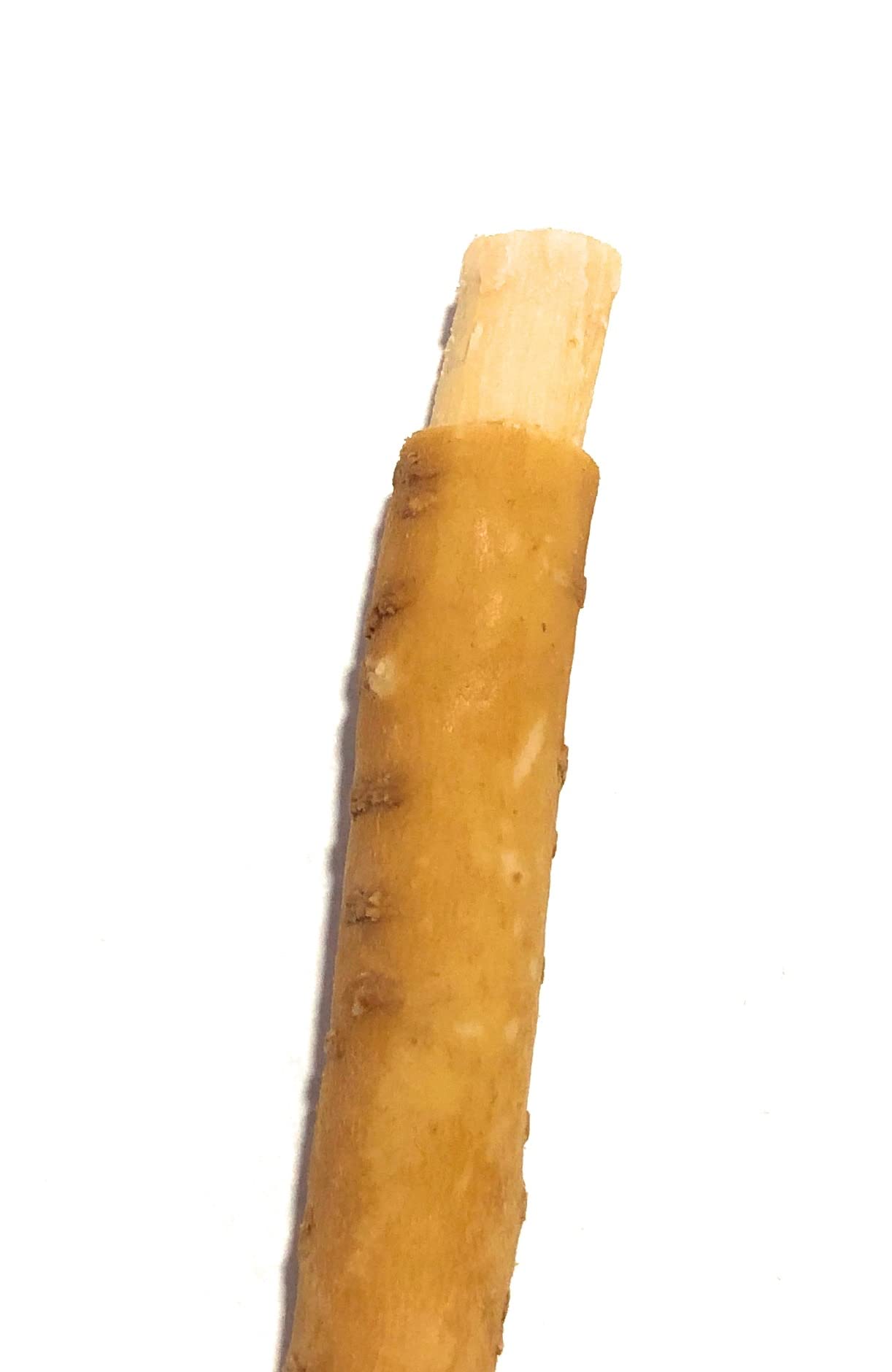 Miswak Stick - Sewak Al-Falah - Hygienically Processed and Vacuumed Packed - 1 Stick by Al-Falah Impex