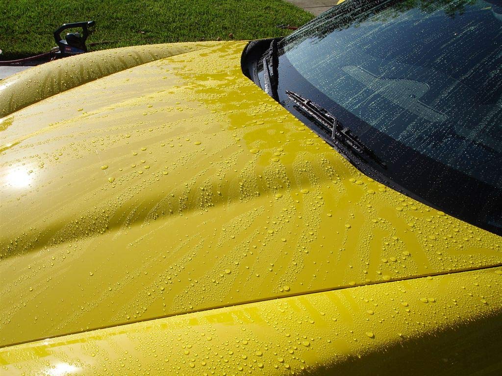 RejeX Corrosion Technologies 61001 (12 fl oz) β High Gloss Finish That Protects | for All Vehicles | Synthetic Paint and Surface Sealant | Lasts 2X Longer Than Any Wax | Nothing Sticks But The Shine!