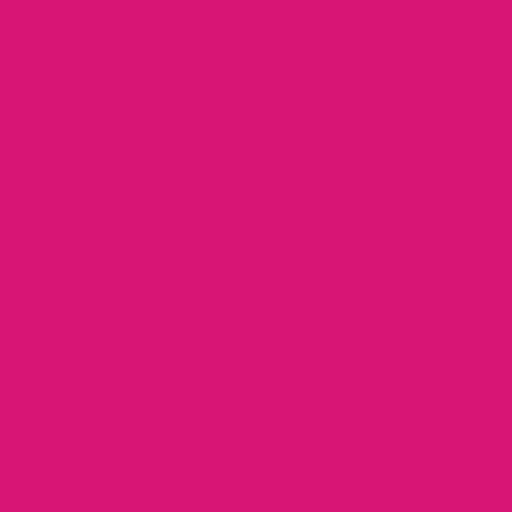Xerox 106R01145 Phaser 6350 Toner Cartridge (Magenta) in Retail Packaging