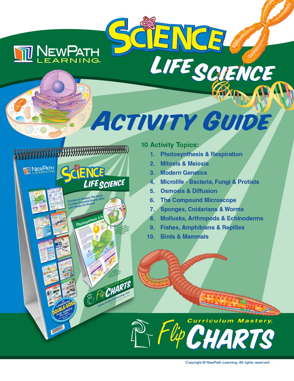 NewPath Learning 10 Piece Mastering Middle School Life Science Curriculum Mastery Flip Chart Set, Grade 5-9 Multi, 12 L X 18 W in