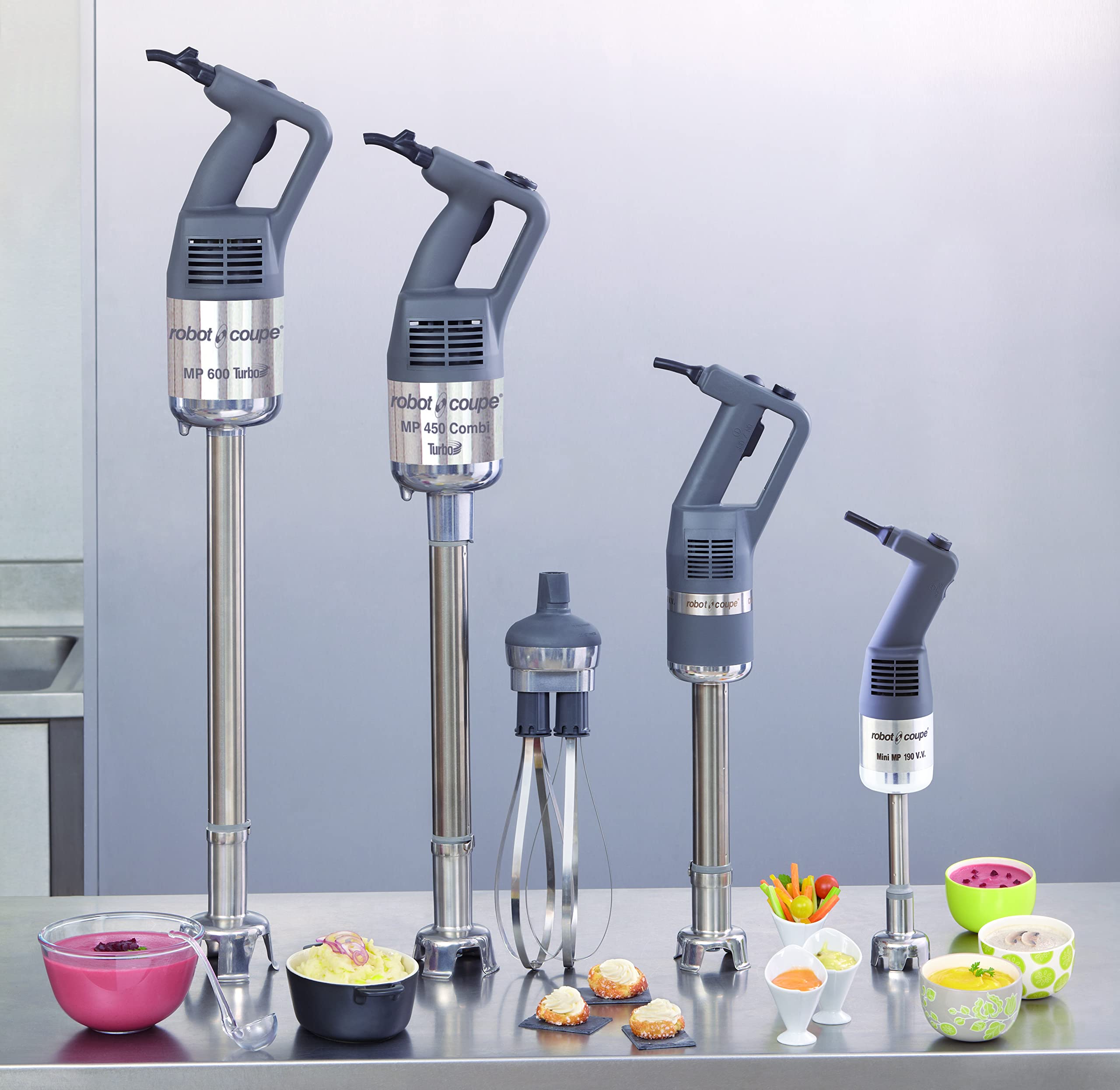 Robot Coupe MMP 190 VV Immersion Blender, 8", Gray