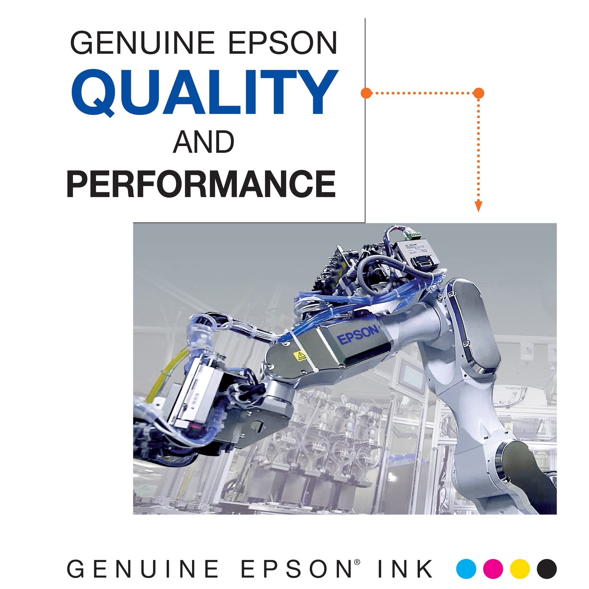 Epson T060120-D2 DURABrite Ultra Dual Black Standard Capacity -Cartridge -Ink