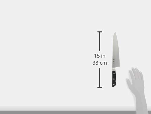 Fuji Cutlery - Narihira - 240 mm (9.45 inch) Double Edged, Molybdenum Steel Chef’s Knife (Japan Import)