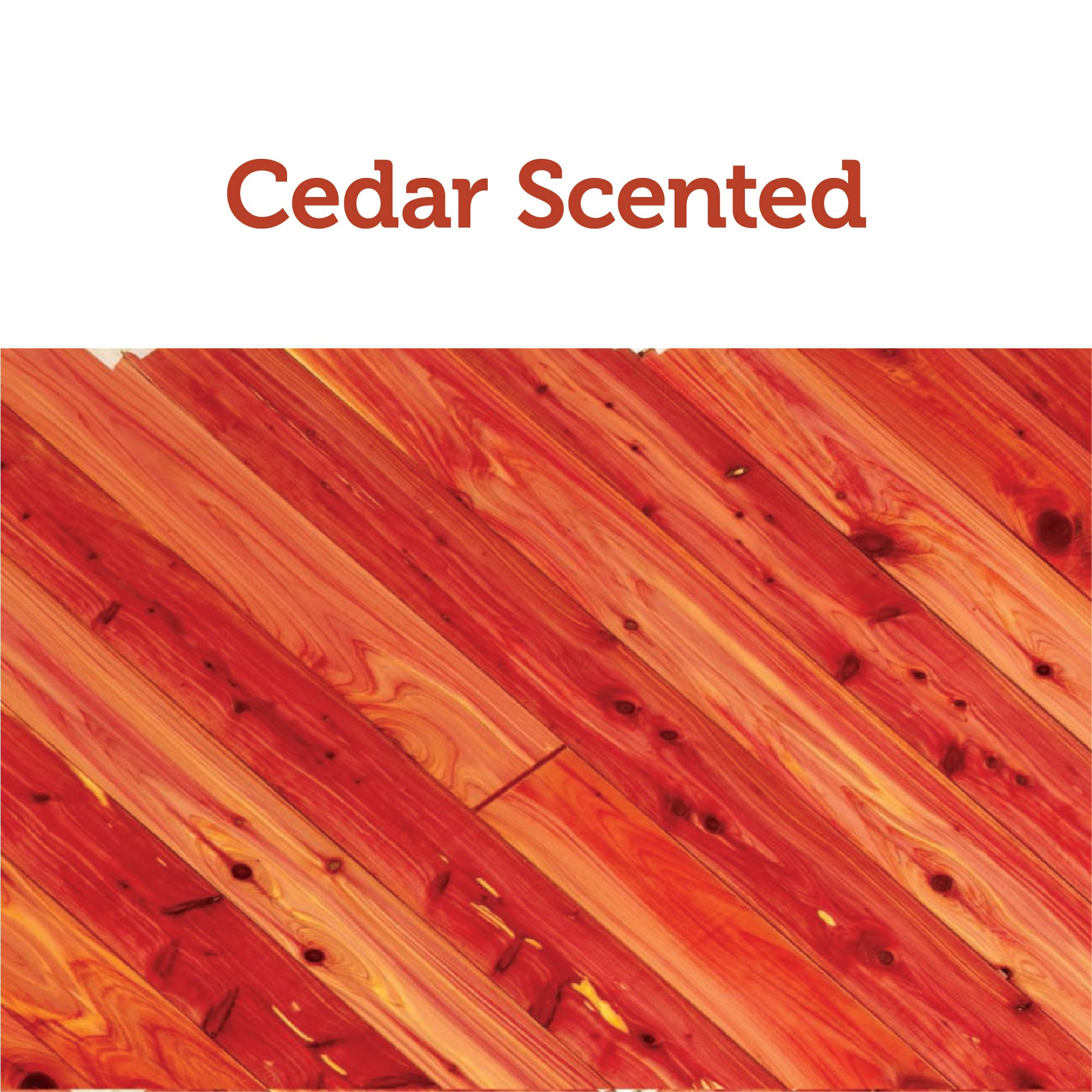 Enoz Moth Bar - Ceder Scented