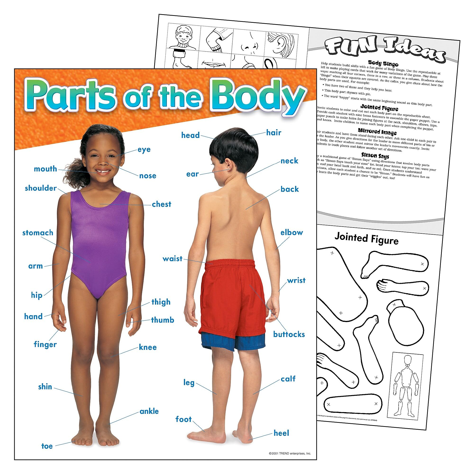 TREND enterprises, Inc. Parts of The Body Learning Chart, 17" x 22"