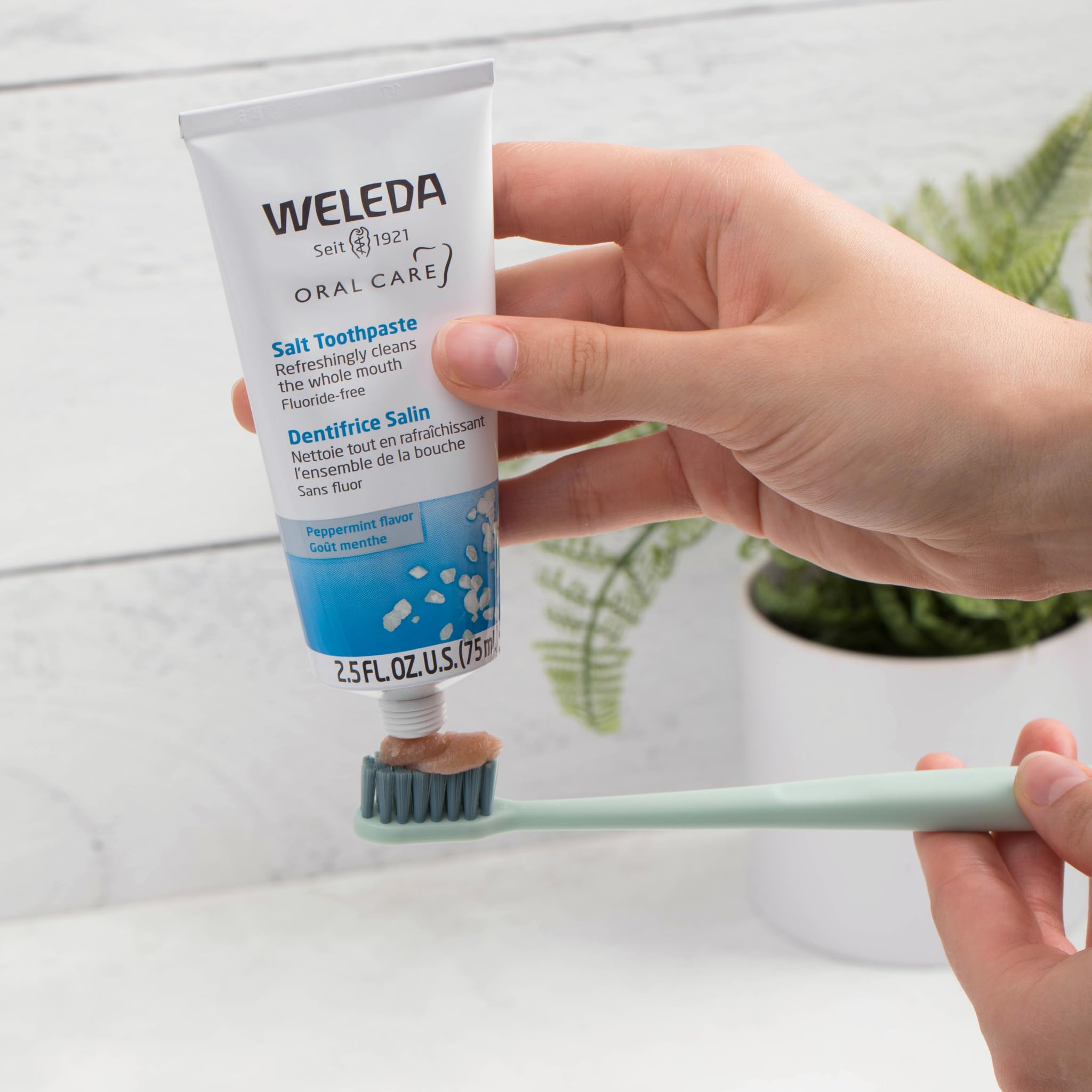 Weleda Natural Salt Toothpaste, 2.5 Ounce (Pack of 1)