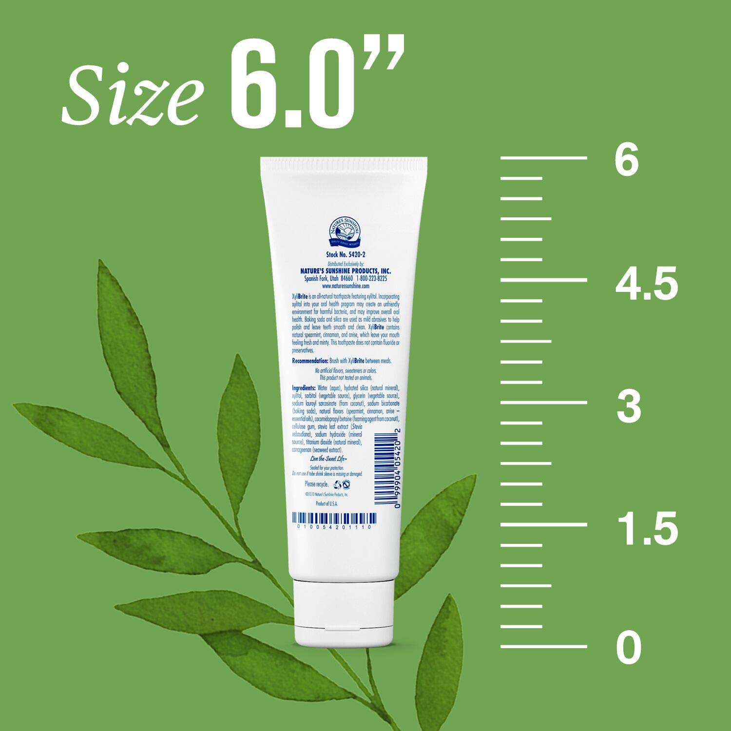 Nature's Sunshine XyliBrite Xylitol Toothpaste, Cool Mint, 3.5 oz. | Fluoride Free Toothpaste with Xylitol and Baking Soda to Whiten Teeth and Promote Oral Health