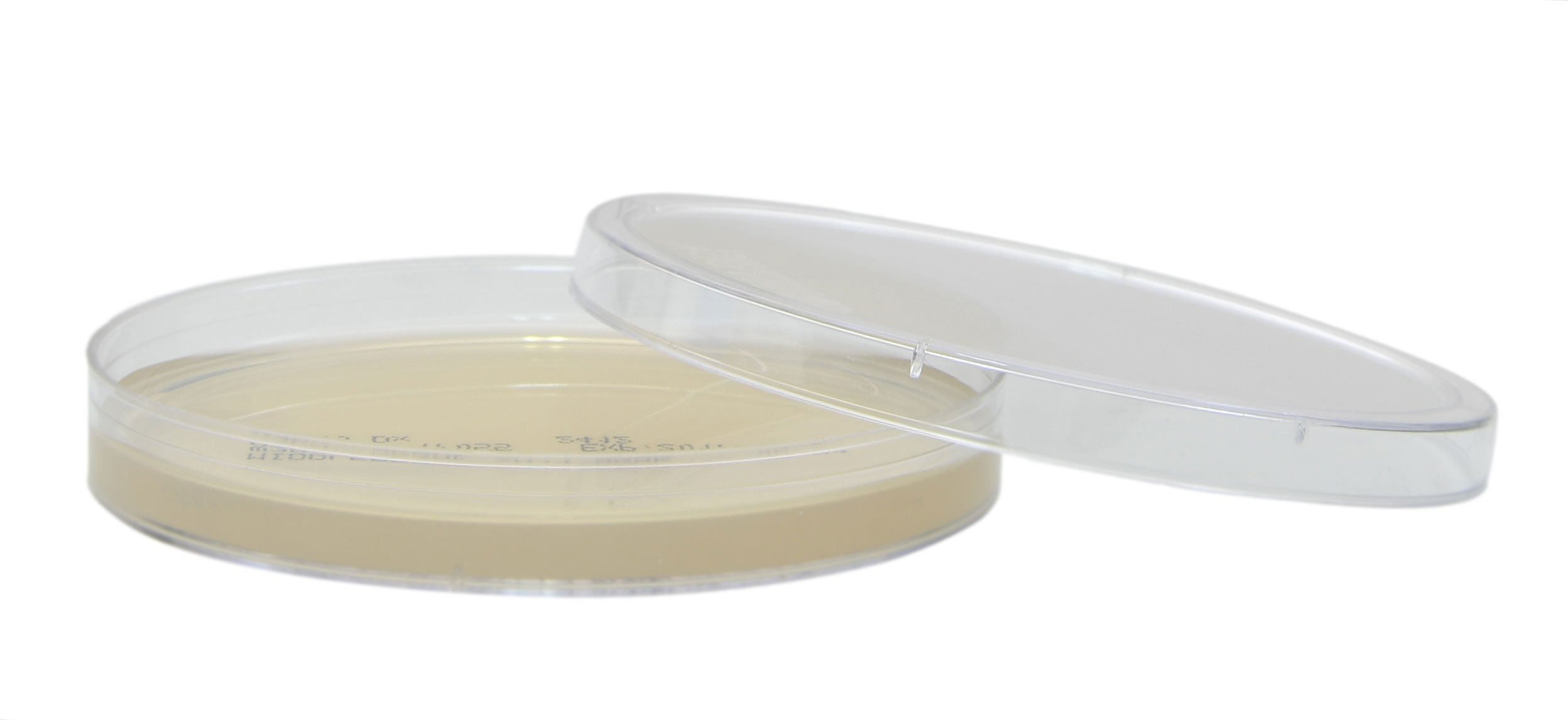 Sabdex (Sabouraud Dextrose) Agar, USP, for Cultivation of Yeast and Fungi, 15x100mm Plate, Order by The Package of 10, by Hardy Diagnostics