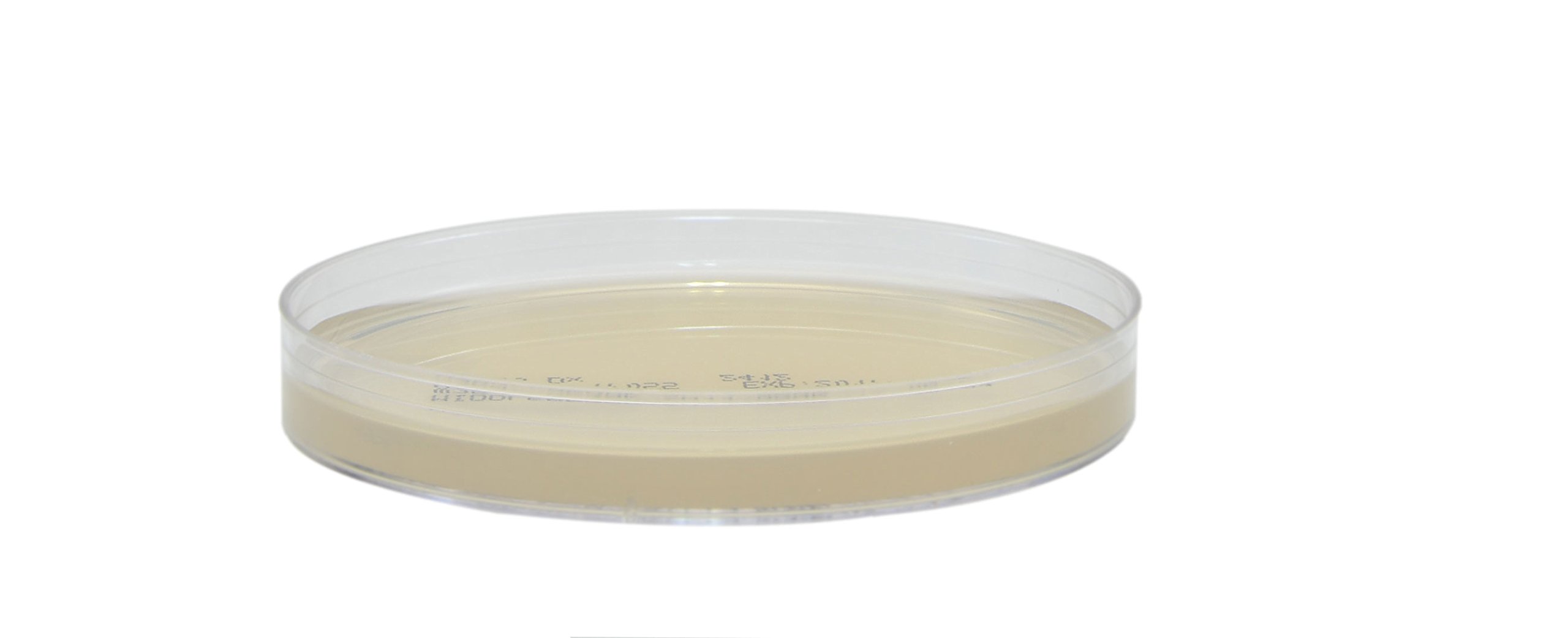 Sabdex (Sabouraud Dextrose) Agar, USP, for Cultivation of Yeast and Fungi, 15x100mm Plate, Order by The Package of 10, by Hardy Diagnostics