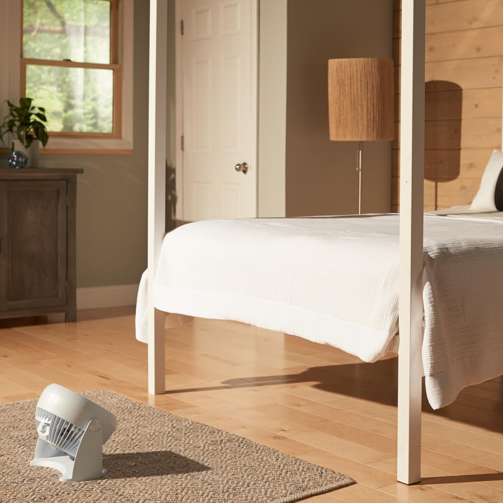 Honeywell HT-904 TurboForce Tabletop Air Circulator Fan, Small, White β Quiet Personal Fan for Home or Office, 3 Speeds and 90 Degree Pivoting Head