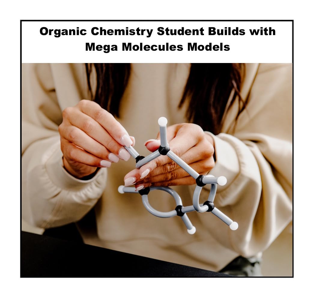 Organic Chemistry Molecular Model Set (140 Pieces)