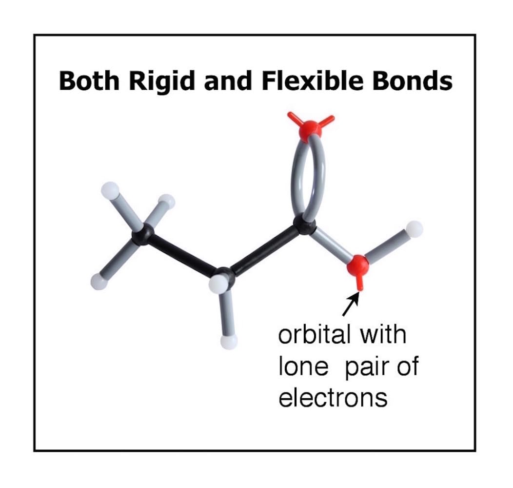 Organic Chemistry Molecular Model Set (140 Pieces)