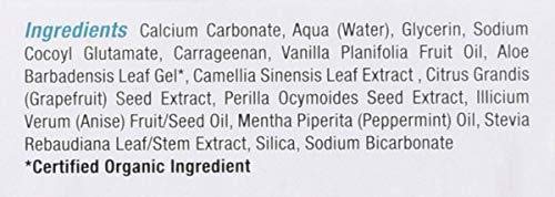 Jason Healthy Mouth Tartar Control Fluoride-Free Paste, Tea Tree Oil & Cinnamon, 4.2 Oz (Packaging May Vary)