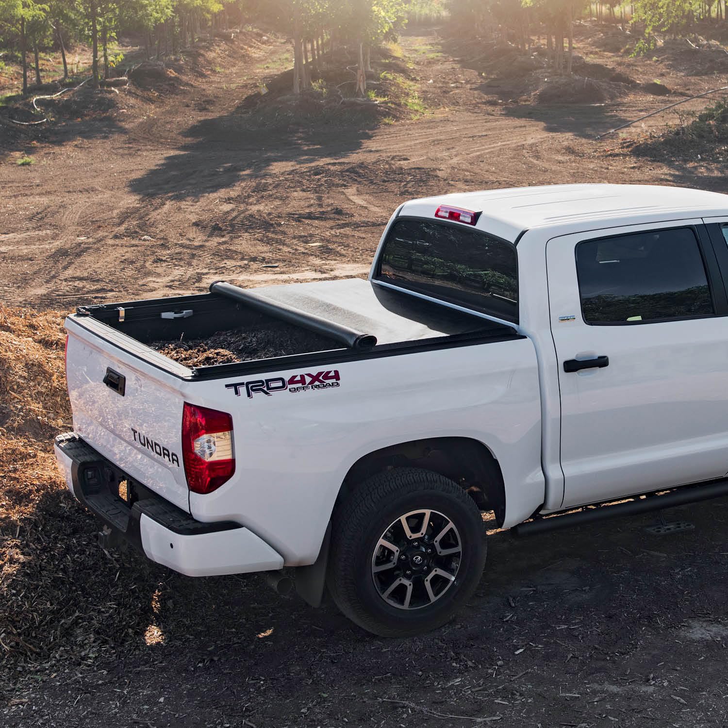 TruXedo TruXport Soft Roll Up Truck Bed Tonneau Cover | 290101 | Fits 2000 - 2007 Dodge Dakota Quad Cab 5' 3" Bed (63")