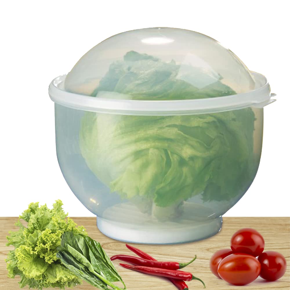 WalterDrake Lettuce KeeperTM - Lettuce Crisper Salad Keeper Container Keeps your Salads and Vegetables Crisp and Fresh- 7" X 8" (brown) (1) (1)