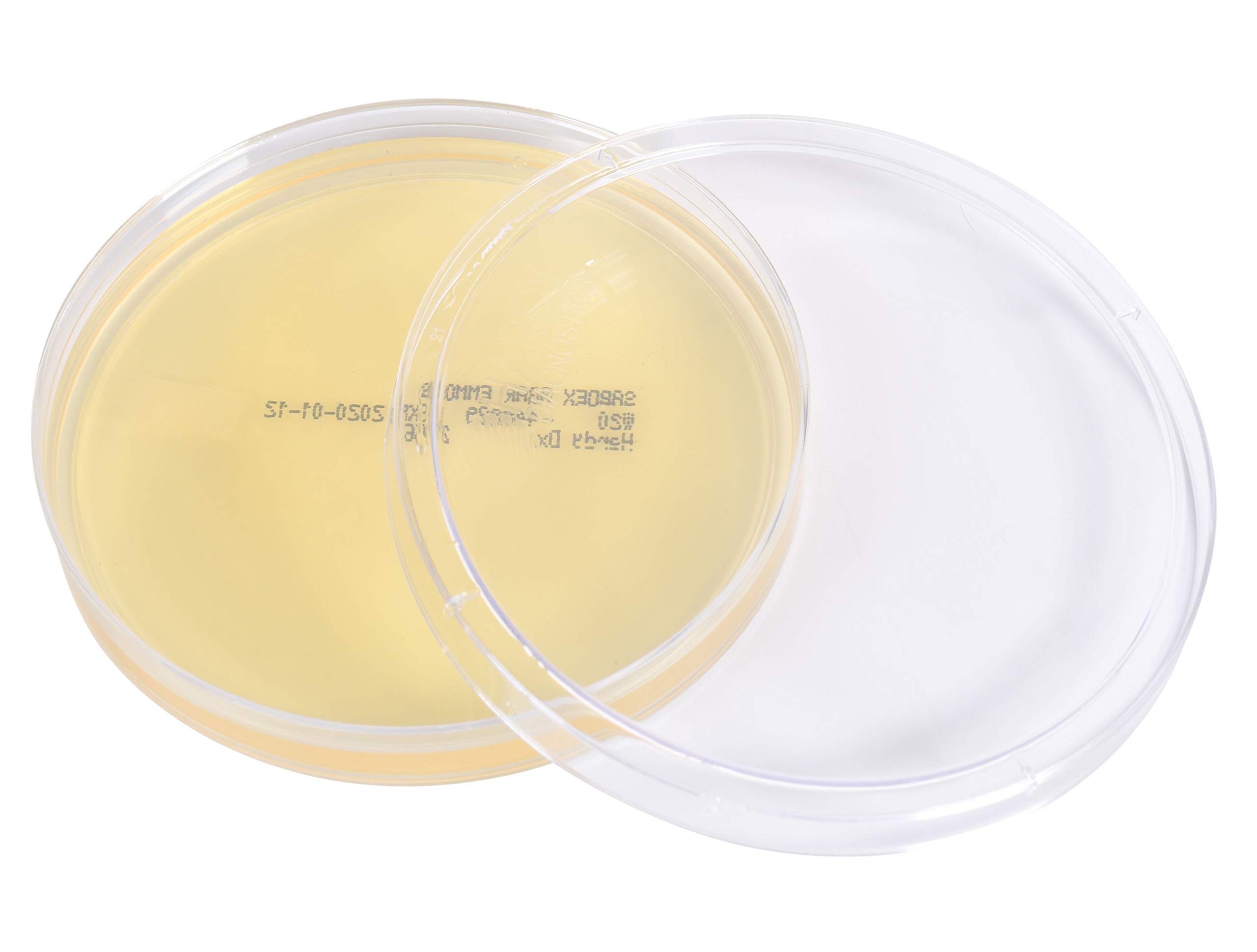 Emmon's Sabdex (Sabouraud Dextrose) Agar, for The Culturing of Fungi and Yeast, Deep Fill, 15x100mm Plate, Order by The Package of 10, by Hardy Diagnostics