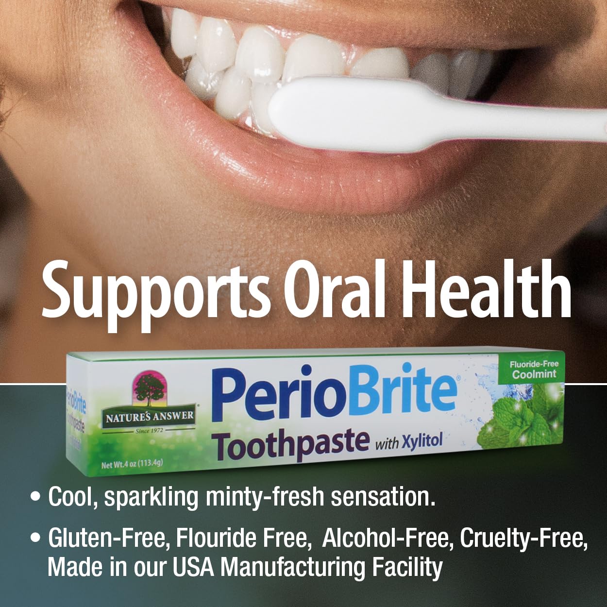 Nature's Answer PerioBrite Natural Toothpaste, Cool Mint, 4-Ounce (Pack of 2) Fluoride Free with CoQ10 & Folic Acid | Naturally Whitens Teeth | Freshens Breath | Removes Plaque | Minimizes Dry Mouth