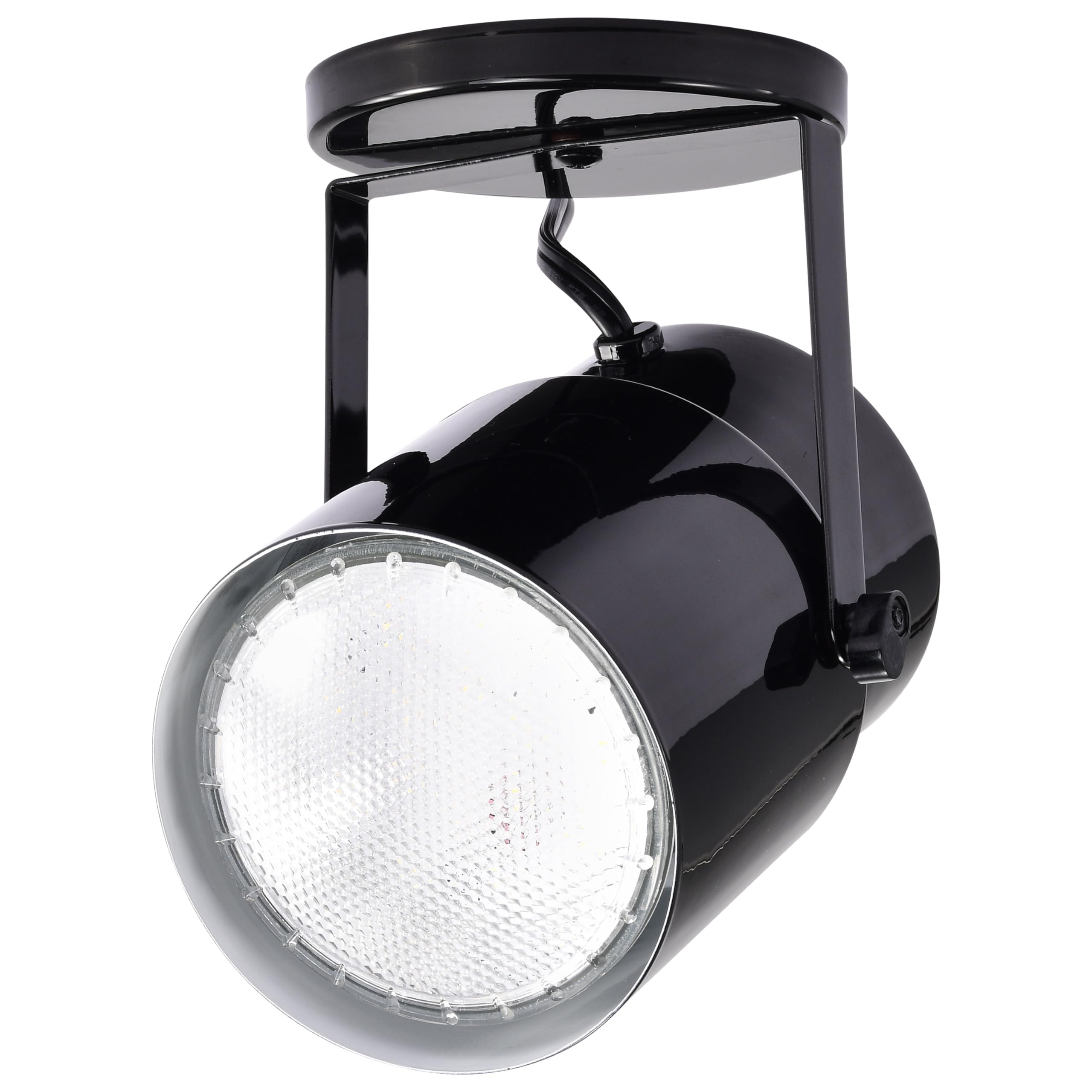 Satco SF77/394 Incandescent Portable Plant Lamp, 60 Watts, Black