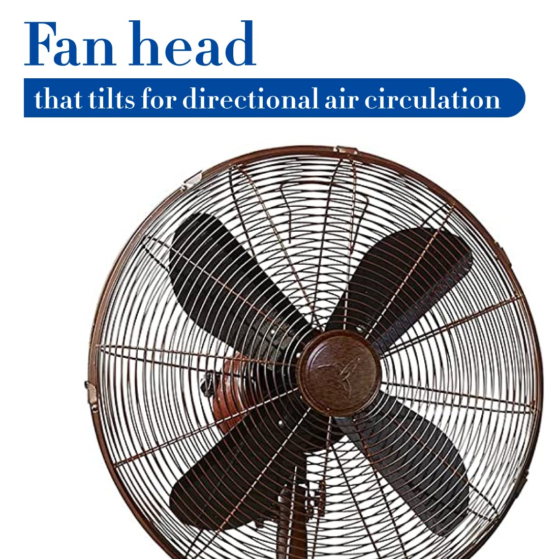 DecoBREEZE DBF0426 Pedestal Standing Floor Fan, 16-Inch, Raleigh