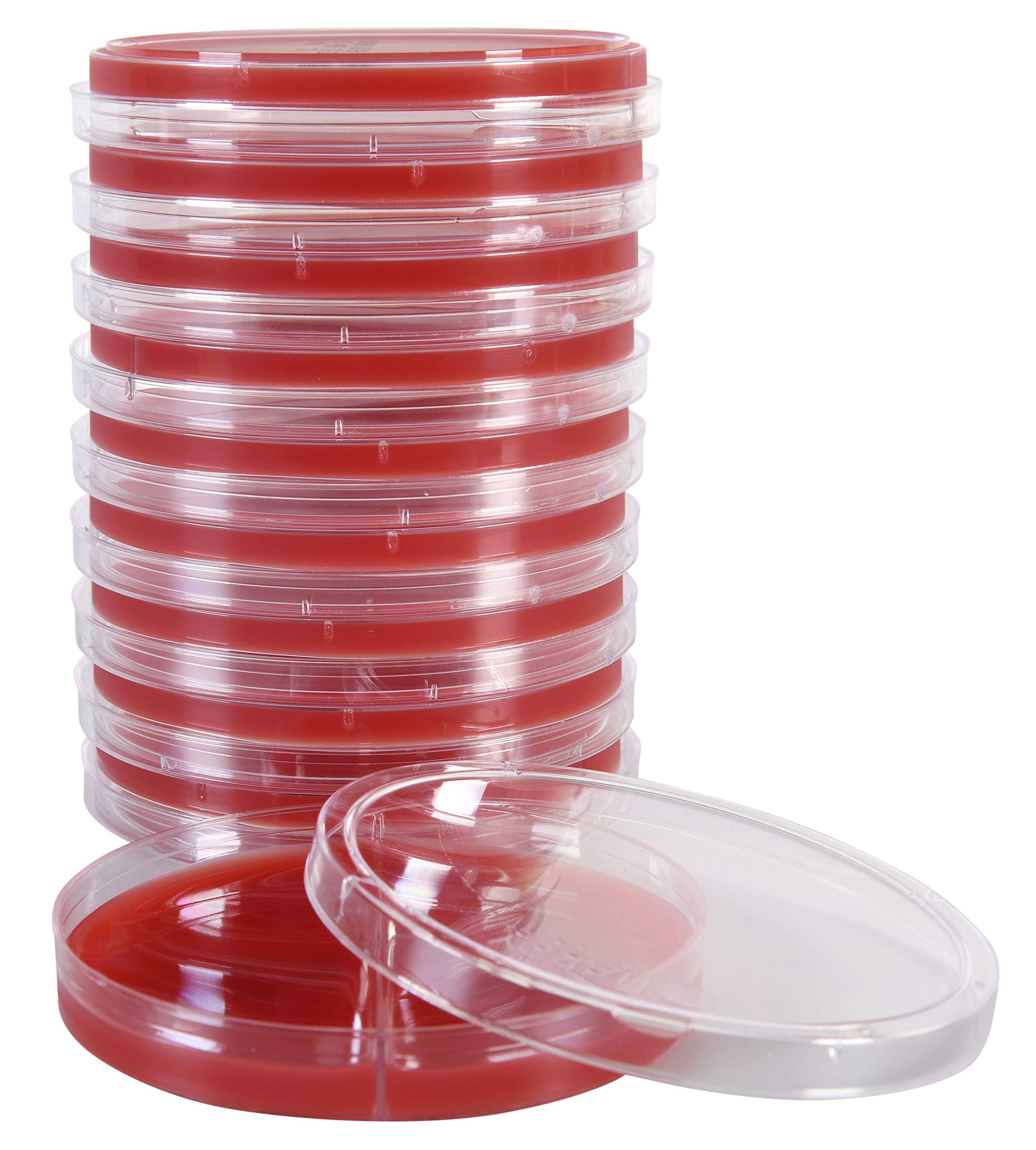 Blood Agar, 5 Percent/Blood Agar, 5 Percent, 15x100mm Biplate, Order by the Package of 10, by Hardy Diagnostics