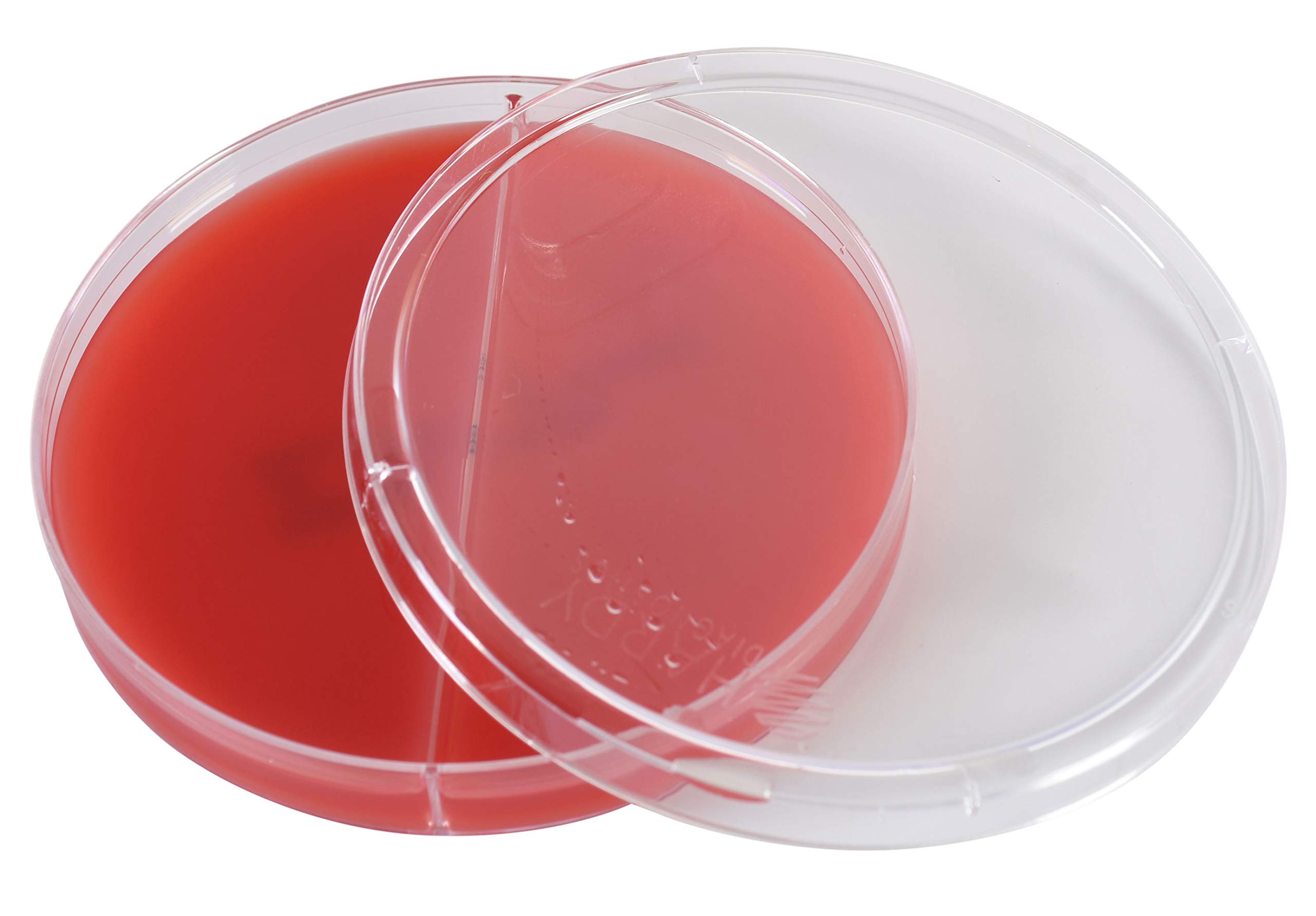 Blood Agar, 5 Percent/Blood Agar, 5 Percent, 15x100mm Biplate, Order by the Package of 10, by Hardy Diagnostics