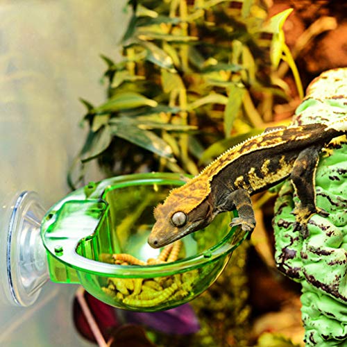 balacoo 4pcs Reptile Food Bowl Turtle Feeder Feeding Dish Tortoise Food Container Reptile Eating Bowl Water Dish Tray for Gecko Snake Turtle Bearded Dragon
