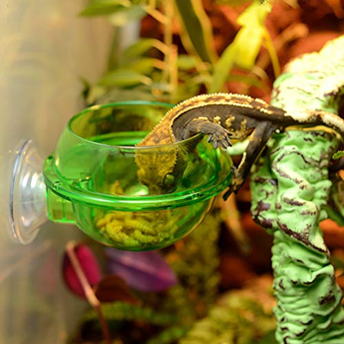balacoo 4pcs Reptile Food Bowl Turtle Feeder Feeding Dish Tortoise Food Container Reptile Eating Bowl Water Dish Tray for Gecko Snake Turtle Bearded Dragon