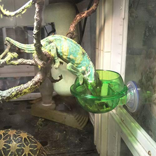 balacoo 4pcs Reptile Food Bowl Turtle Feeder Feeding Dish Tortoise Food Container Reptile Eating Bowl Water Dish Tray for Gecko Snake Turtle Bearded Dragon