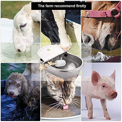 CPROSP Automatic Waterer for Livestock Stainless Steel with Float Valve, Horse Bowl with GHT 3/4ββ, 2 X M10 Screw Set