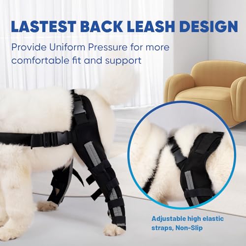 NATUYA Dog Knee Brace for Torn ACL Hind Leg, CCL, Luxating Patella, Dog Leg Braces with Side Stabilizers - Better Recovery and Prevent Licking, Relieves Joint Pain (Black, M)