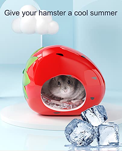 Besimple Hamster Hideout, Small Animal Hideout, Ceramic Pet House, Adorable Shape Hamster House Cave Mini Hut Cage Critter Bath House for Chinchilla Hamster(Strawberry)