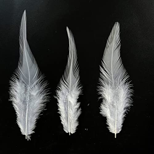 Happy Feather 100PCS Saddle Hackle Rooster Feather for Crafts, 5-7 inch Natural Pheasant Neck Feathers DIY Pendant Earrings Dream Catcher-White