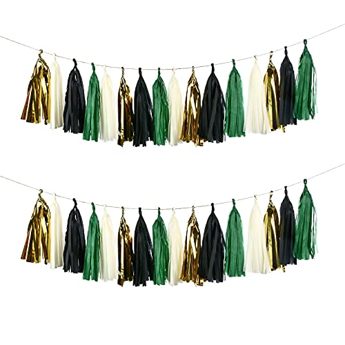 Mefuny Bining Tissue Paper Tassel DIY Hanging Paper Decorations Party Garland Decor for Party Decorations Wedding,Festival,Baby Shower Decoration 20PCS
