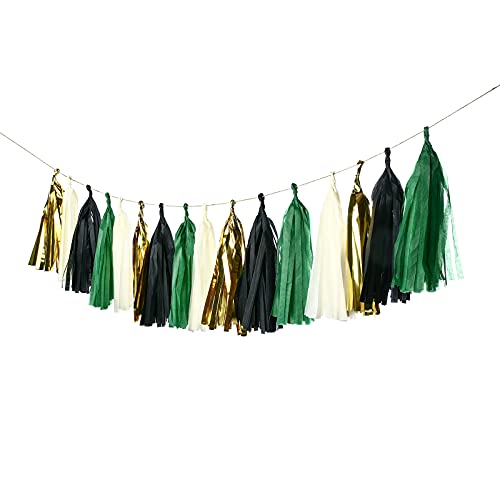 Mefuny Bining Tissue Paper Tassel DIY Hanging Paper Decorations Party Garland Decor for Party Decorations Wedding,Festival,Baby Shower Decoration 20PCS