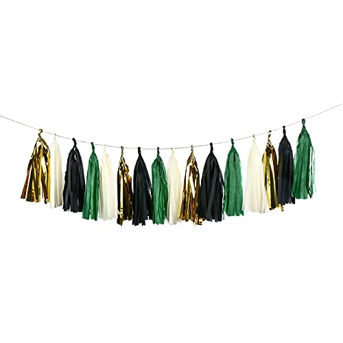 Mefuny Bining Tissue Paper Tassel DIY Hanging Paper Decorations Party Garland Decor for Party Decorations Wedding,Festival,Baby Shower Decoration 20PCS
