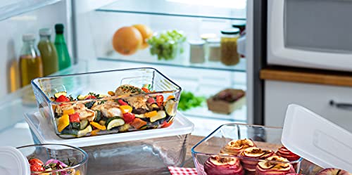 Ôcuisine 334S114 tempered borosilicate glass food storage rectangular, meal prep containers, oven cooking (without lids), BPA FREE, Made in france, Set of 4