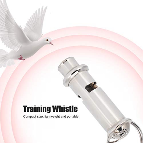 LZKW Pigeons Whistle, Silver Training Whistle, with Lanyard Mini Portable Anti‑Corrosion for Pigeons for Young Pigeons for Bird for Homing Pigeon