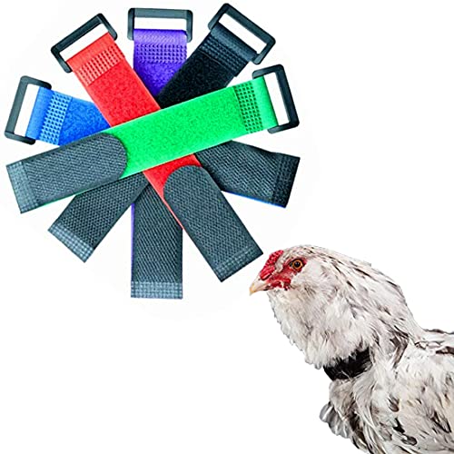 6 Pack No Crow Rooster Collar, Crow Collar Rooster Collar No Crow Noise Neck Belt for Roosters Cockerel Velcro Nylon Prevent Chickens from Screaming, Disturbing Neighbors1
