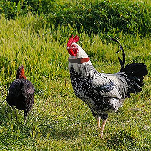 6 Pack No Crow Rooster Collar, Crow Collar Rooster Collar No Crow Noise Neck Belt for Roosters Cockerel Velcro Nylon Prevent Chickens from Screaming, Disturbing Neighbors1