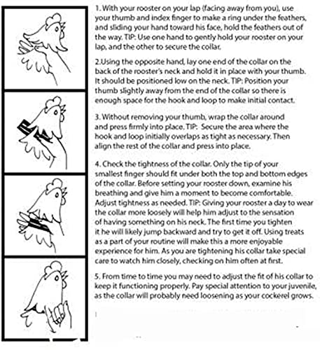 6 Pack No Crow Rooster Collar, Crow Collar Rooster Collar No Crow Noise Neck Belt for Roosters Cockerel Velcro Nylon Prevent Chickens from Screaming, Disturbing Neighbors1