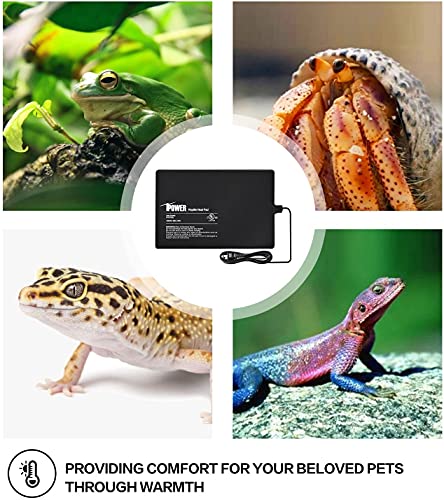 iPower Reptile Heat Pad 4W/8W/16W/24W Under Tank Terrarium Warmer Heating Mat and Digital Thermostat Controller for Turtles Lizards Frogs and Other Small Animals, Multi Sizes