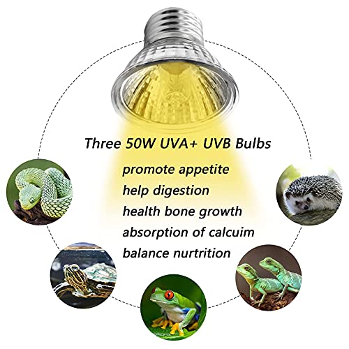 Fansisco Reptile Heat Lamp Turtle Lights with Clip, 3 UVA UVB Bulbs (50W) Aquarium Basking Lamp Adjustable Holder, Pet Heating Light Lamp for Reptile Snake Turtle Lizard