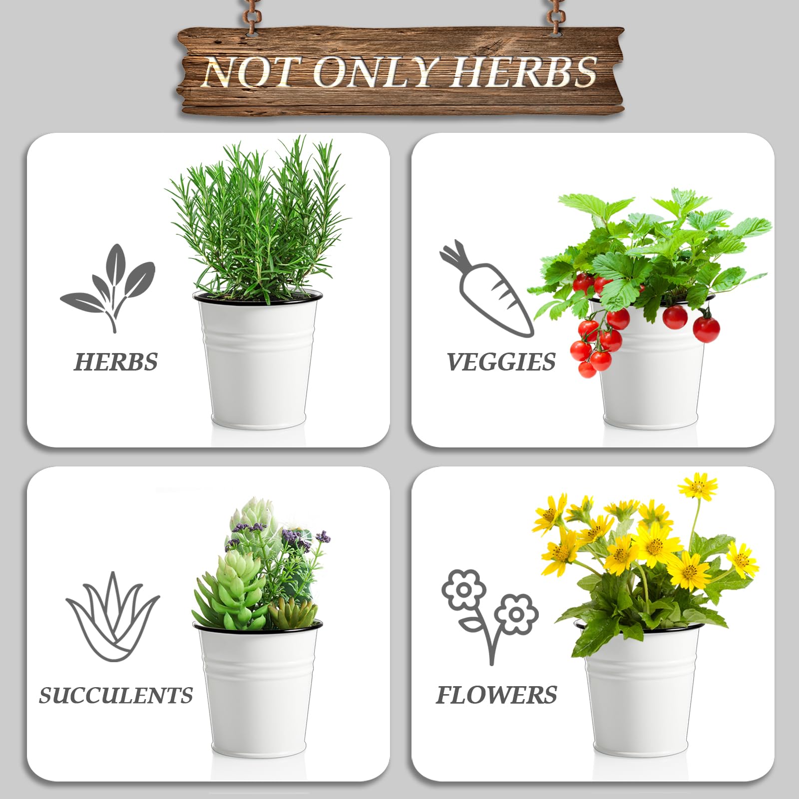DAYYET Farmhouse Herb Garden Planter Indoor Window Planter Set with Tray, White Windowsill Herb Planter Pots with Drainage for Outdoor or Indoor Planters, Set of 3
