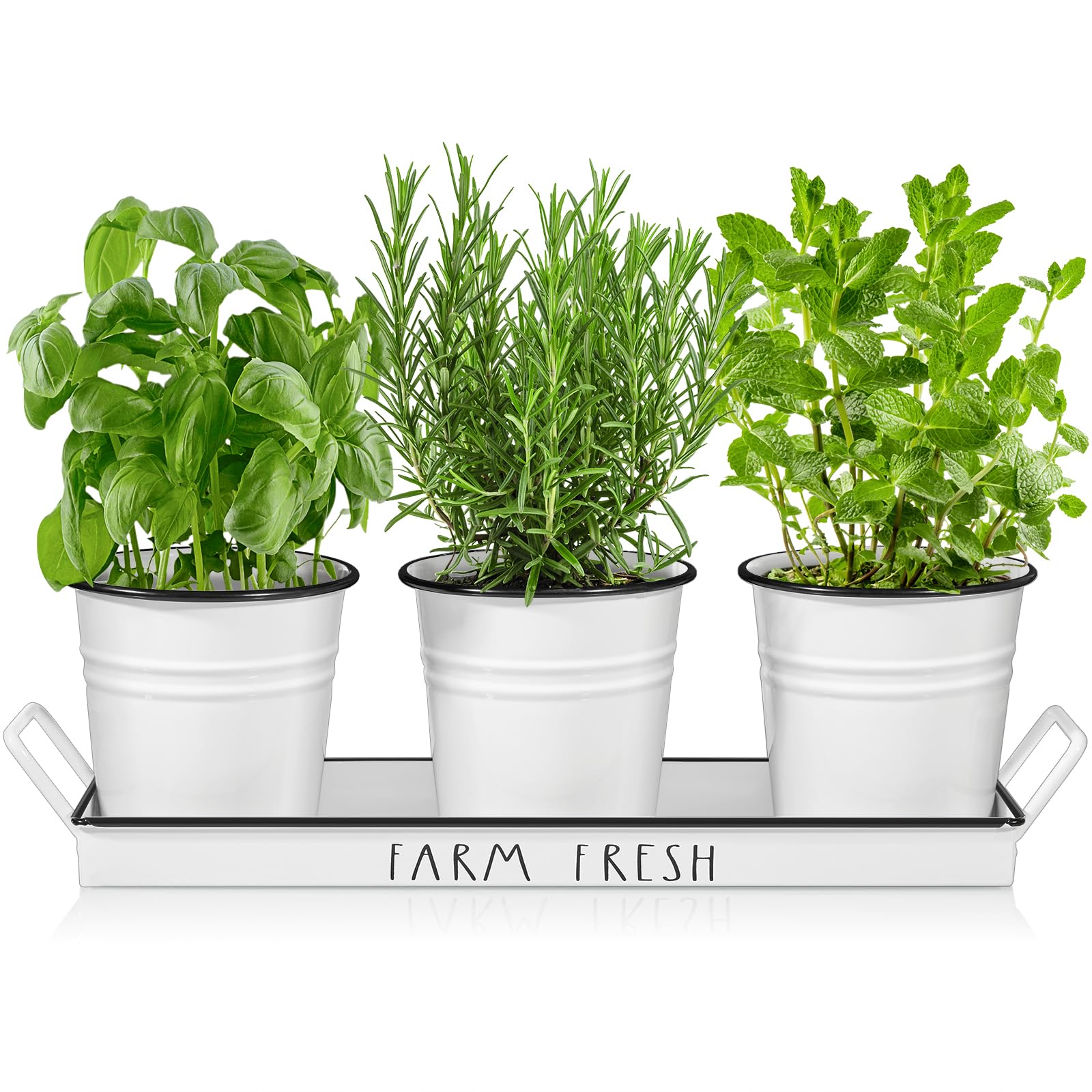 DAYYET Farmhouse Herb Garden Planter Indoor Window Planter Set with Tray, White Windowsill Herb Planter Pots with Drainage for Outdoor or Indoor Planters, Set of 3