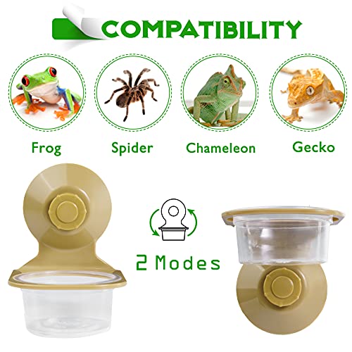 Fischuel Reptile Feeder Chameleon Lizard Feeding Cup with Suction Cup Gecko Transparent Fodder Container, Comes with 6 Packs Plastic Bowls(Adjustable Spiral Arms)