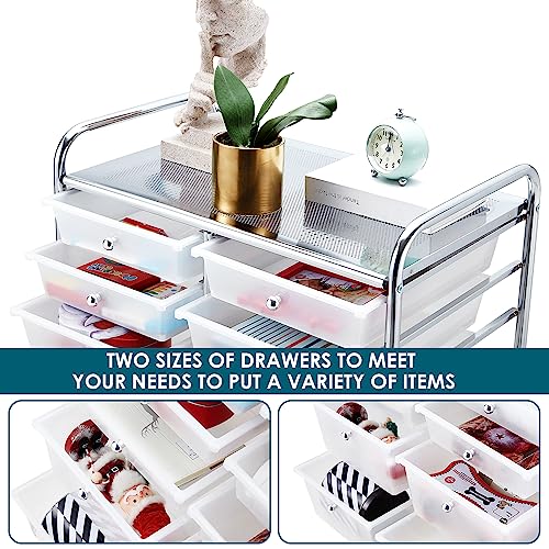 Homgava Rolling Storage Cart and Organizer with 12 Plastic Drawers-4 Lockable Casters for School Office Home Beauty Salon(White)